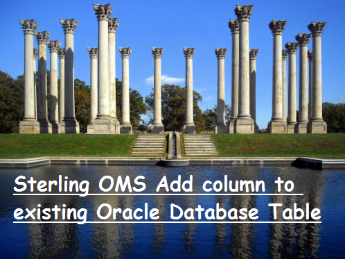 Sterling OMS Adding New Column - Learn IBM Sterling Order Management System